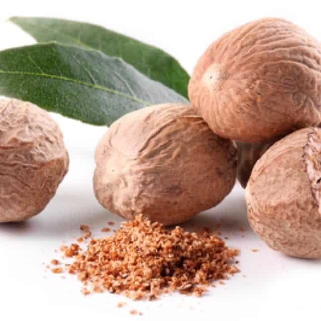 Nutmeg - Grounded Owl Botanicals